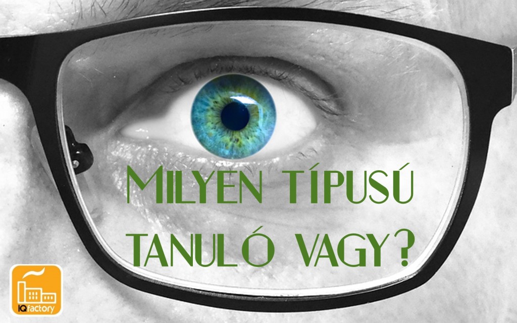 Tanulói típusok | Blog | IQfactory